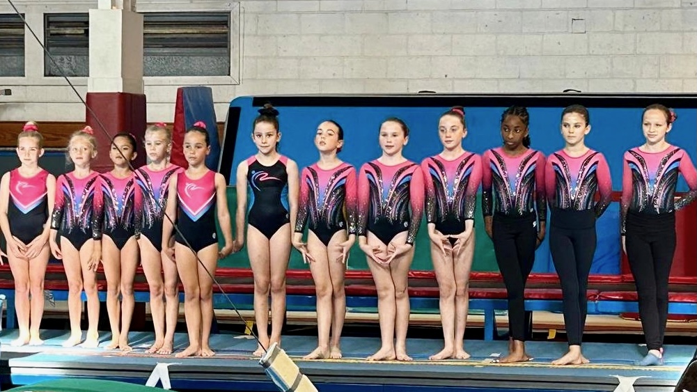 Bermuda International Gymnastics Challenge 2024 – Gymnastics Federation ...